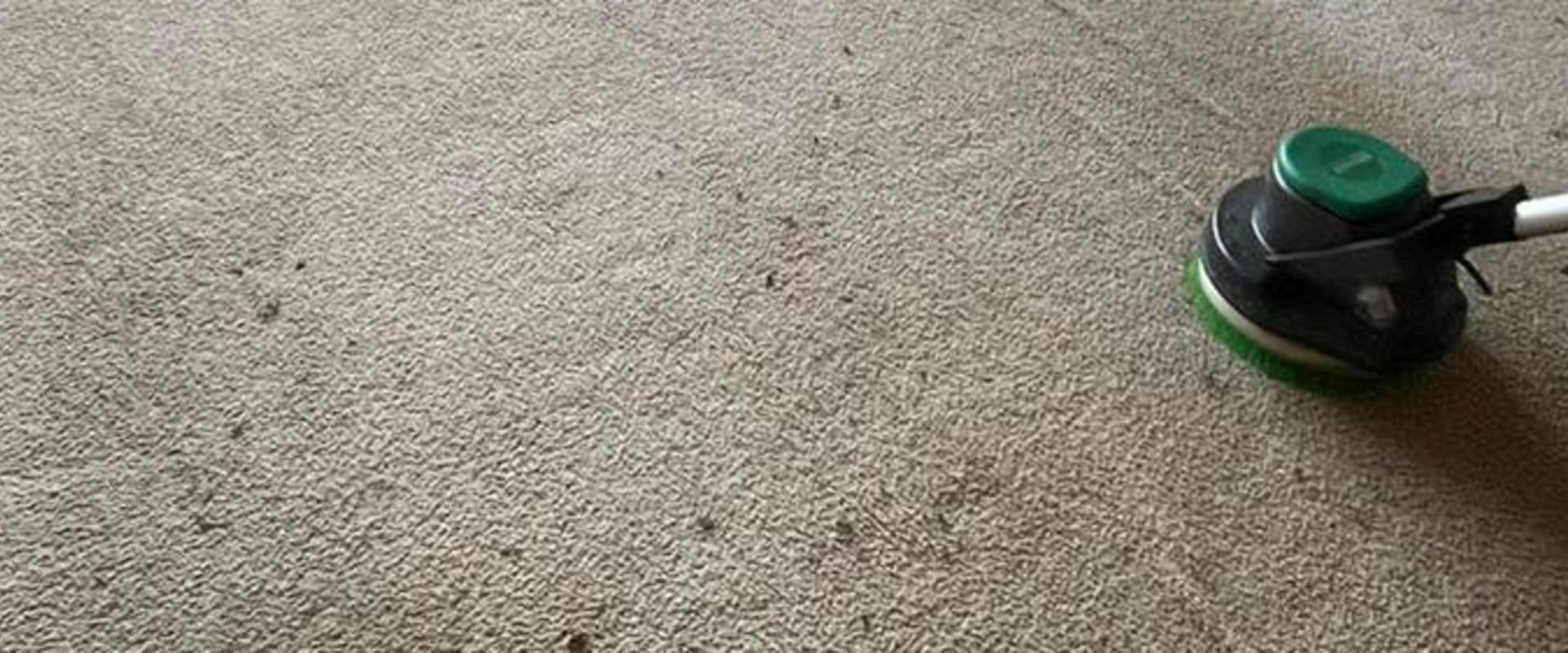 Fresh Carpets For Your Custom Build: Why Carpet Cleaning Matters In Chicago